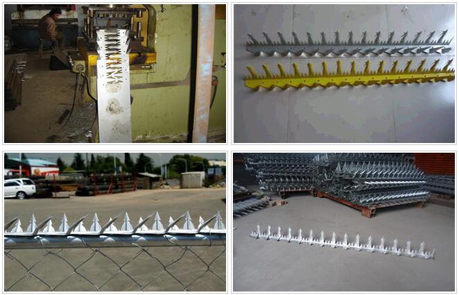 Wall Spikes - Buy Wall Spikes Product on Anping Pengming Hardware Mesh ...